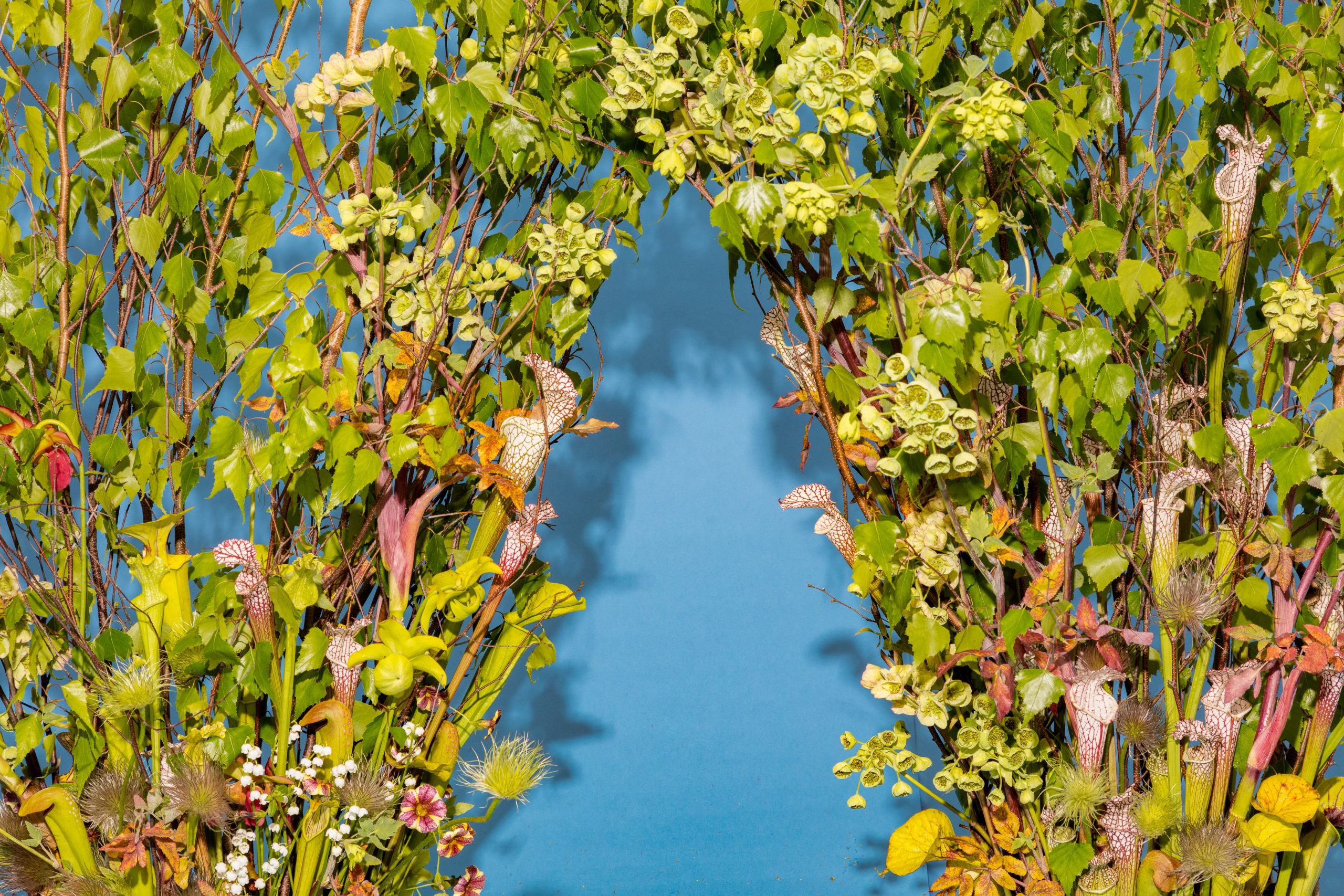 Emily Thompson Flowers – Emily Thompson Flowers