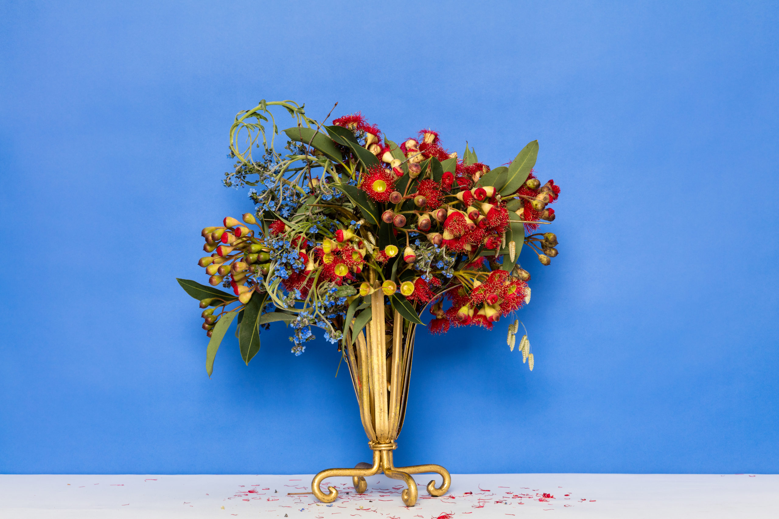 Emily Thompson Flowers – Emily Thompson Flowers