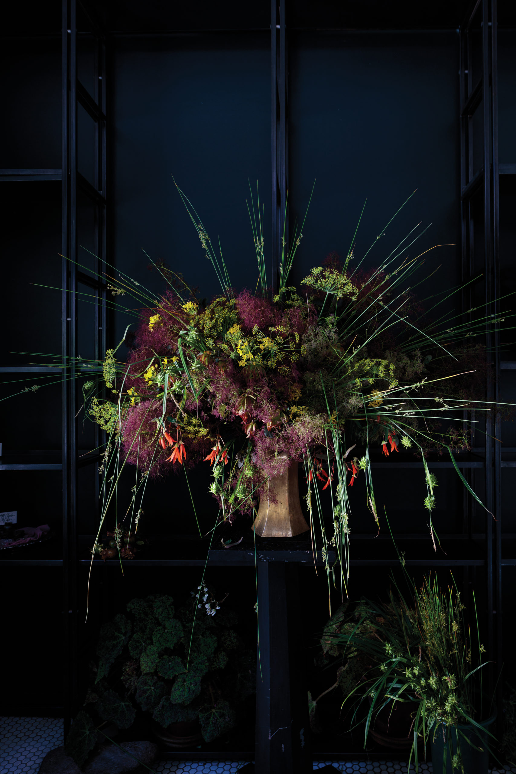 Emily Thompson Flowers – Emily Thompson Flowers