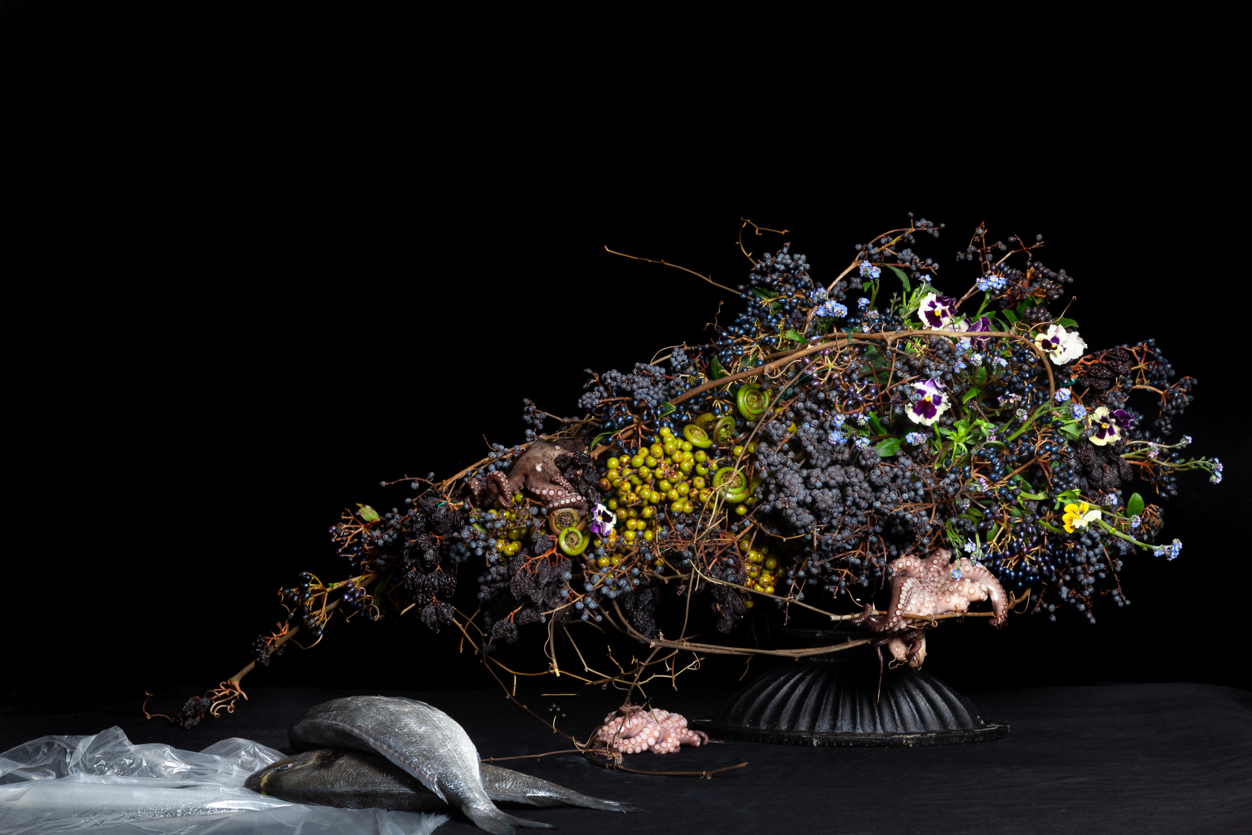 Emily Thompson Flowers – Emily Thompson Flowers