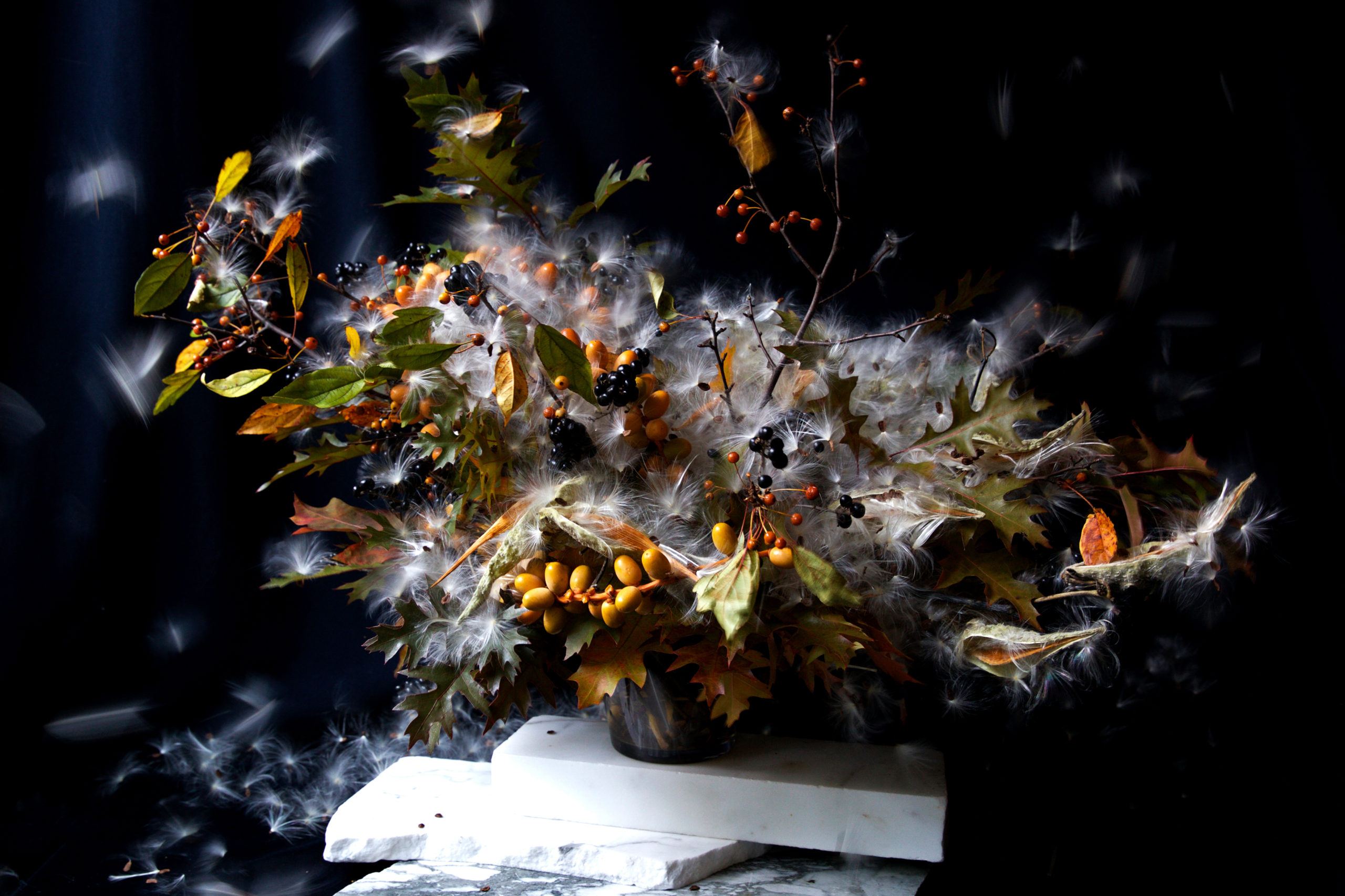 Emily Thompson Flowers – Emily Thompson Flowers