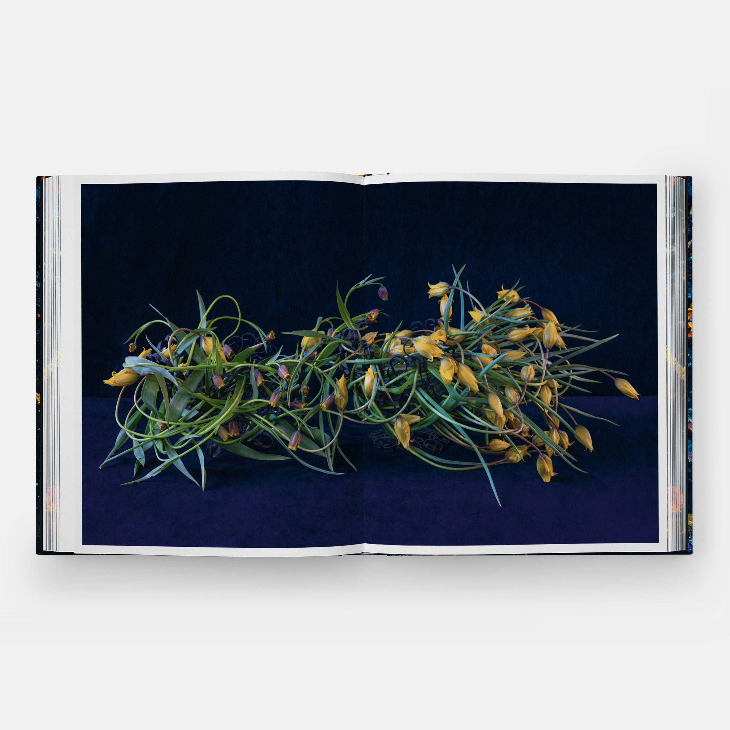 Emily Thompson Flowers